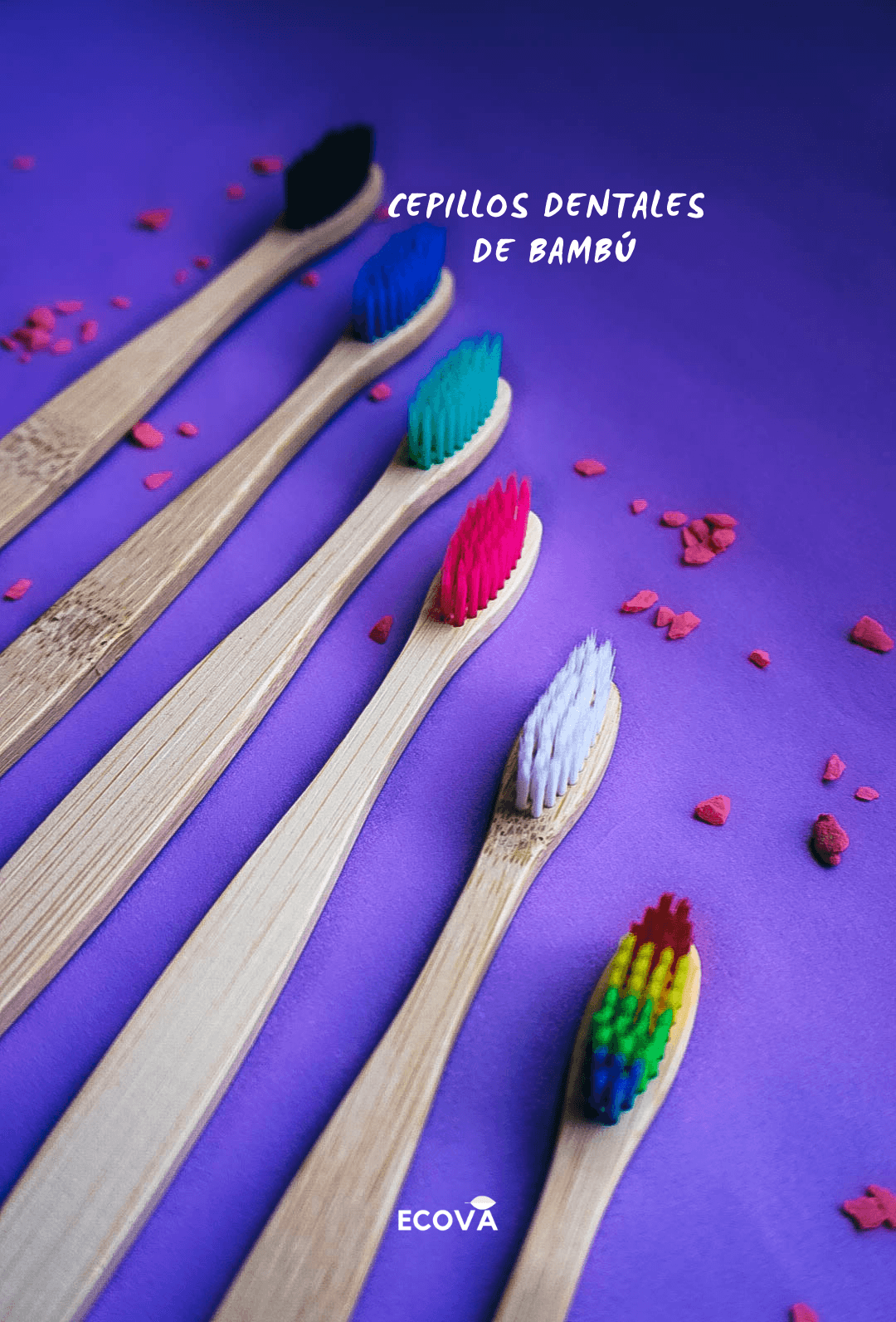 Cepillo Dental de Bambú ADULTO - Tienda EcoVA